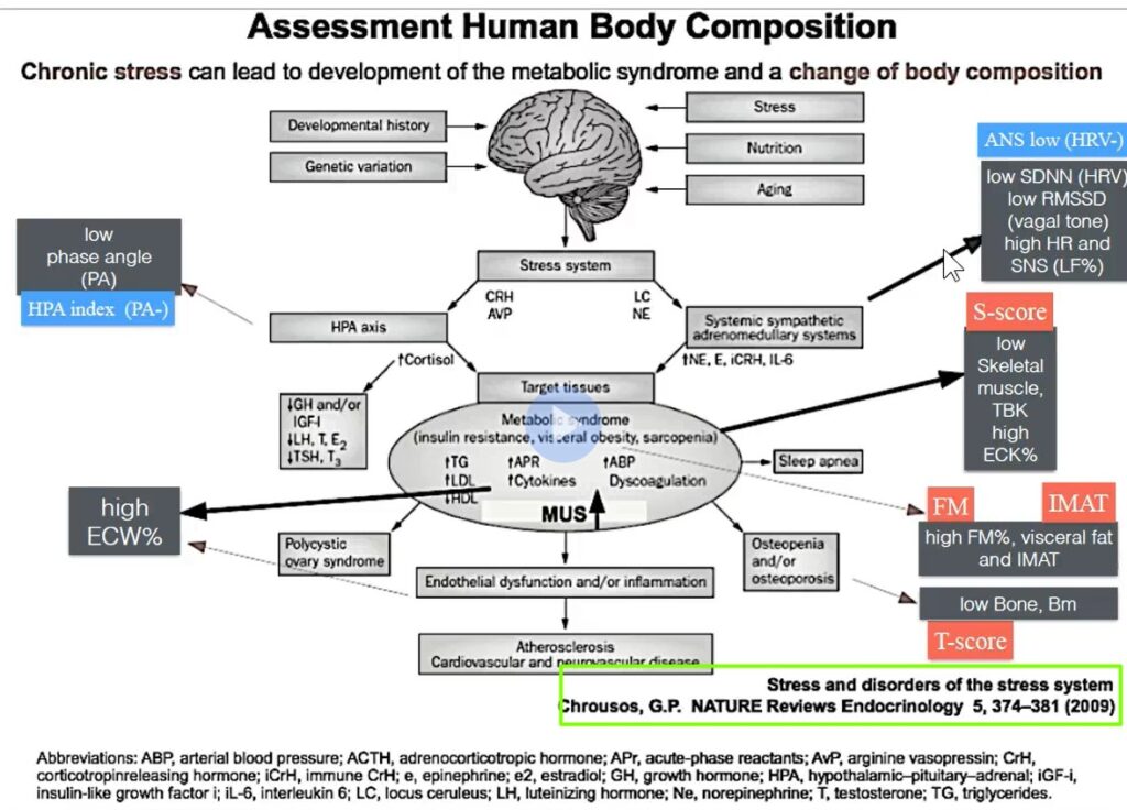 Stress and disorders of the stress system – Alessandro Pardocchi ...